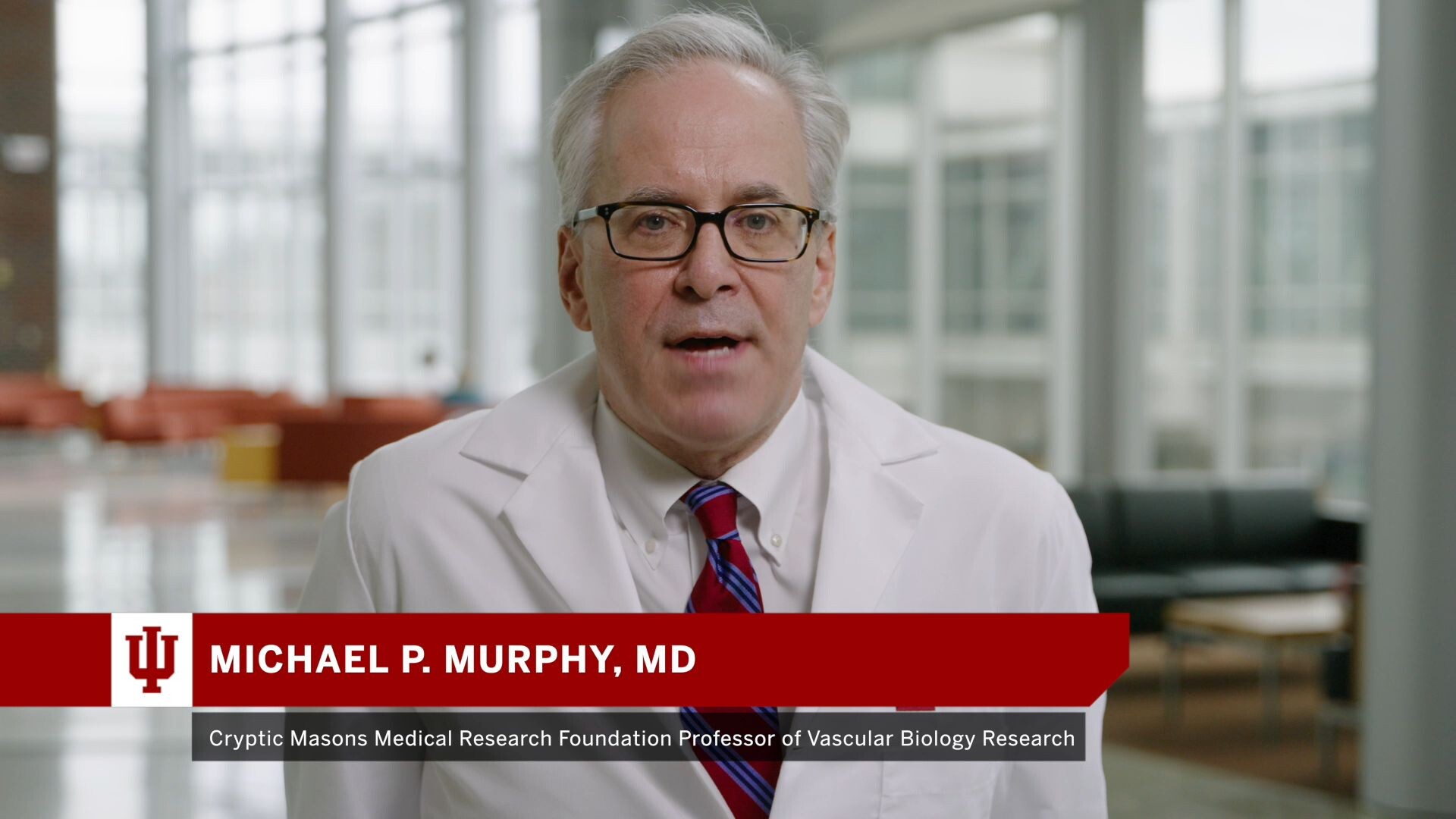 Michael P Murphy Md